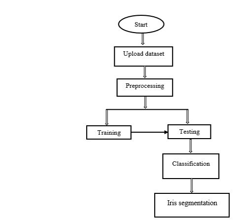 Iris Based Human Identity Recognition with Deep Learning Methods