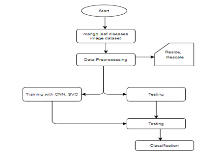 Mango Leaf Diseases Using Deep Learning