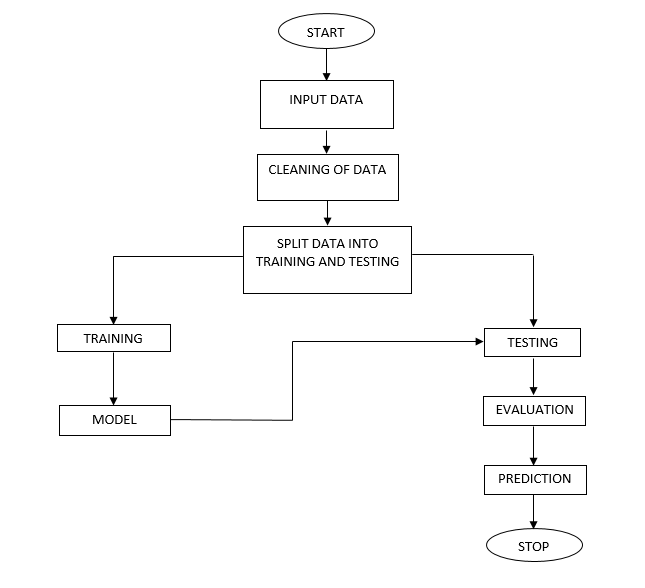 Machine Learning for Kyphosis Disease Classification Machine Learning for Kyphosis Disease Classification