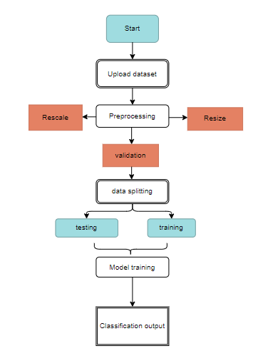 Glaucoma and Cataract Detection